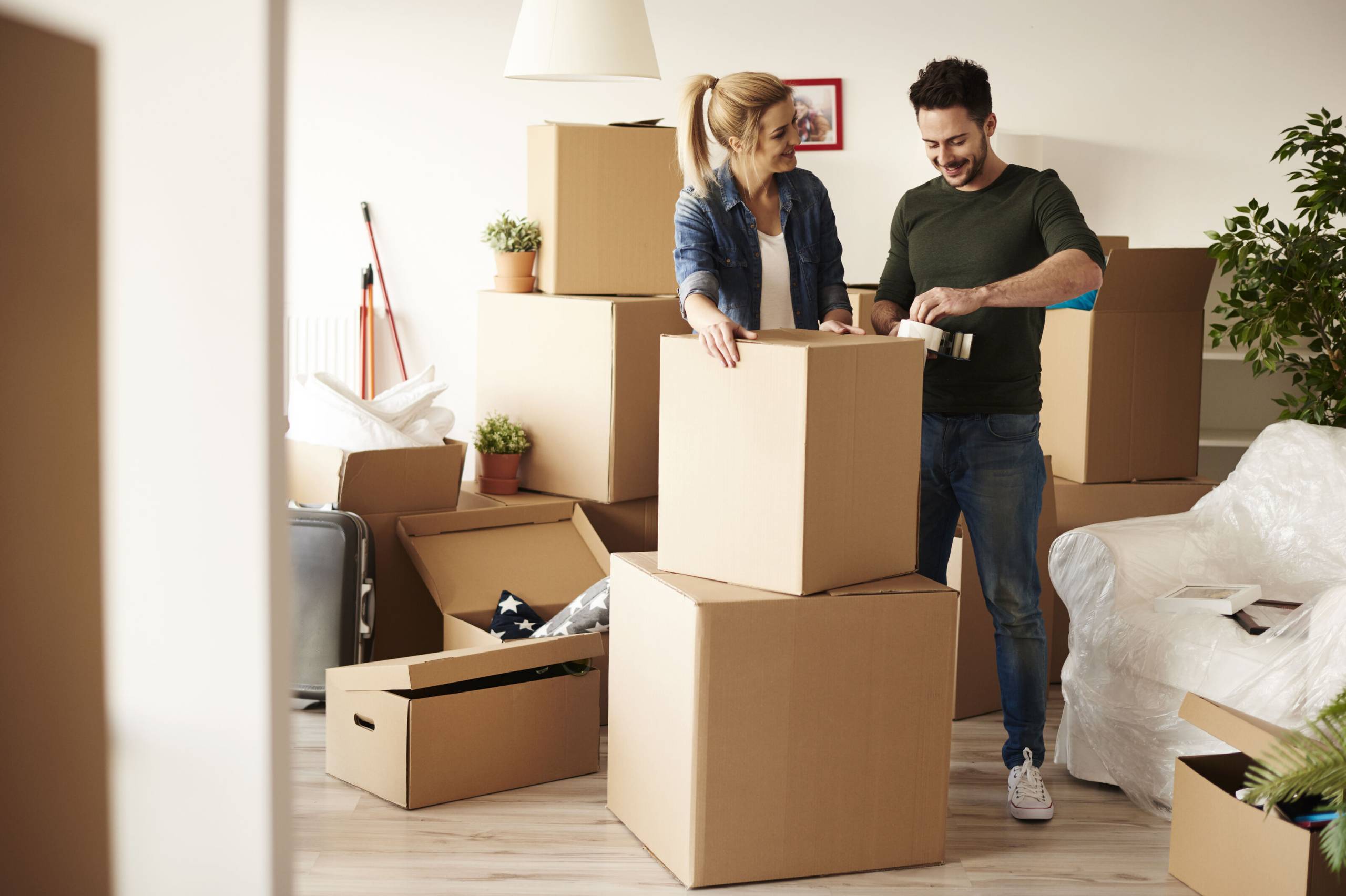 Ready, Set, Move: 7 Must-Dos in Your New Home Before Moving - FamilyRelo